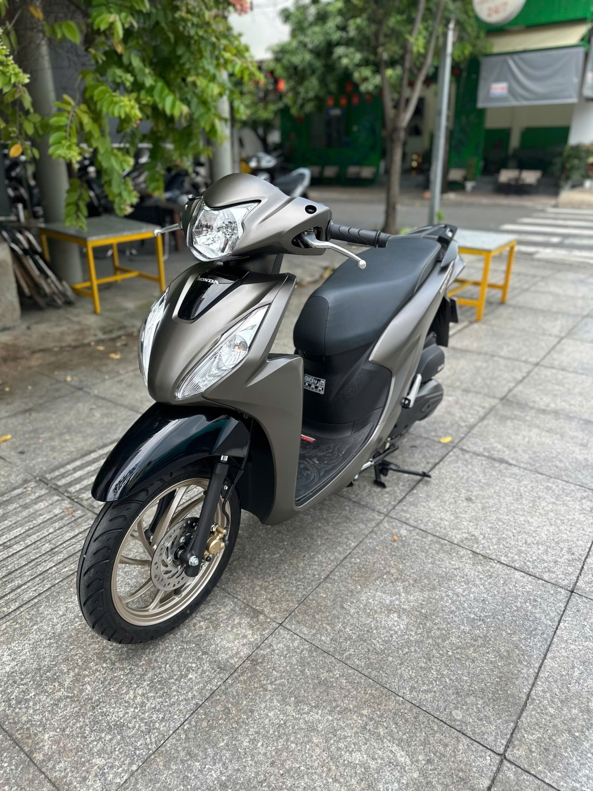 Vision 8/2025 vàng cát